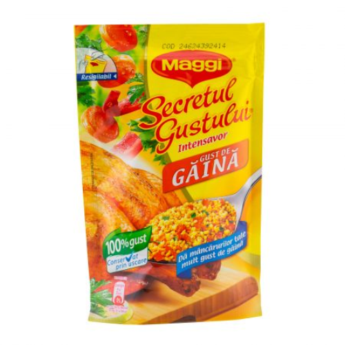 MAGGI SECRETUL GUSTULUI CHICKEN SEASONING 200G — Epicure Market