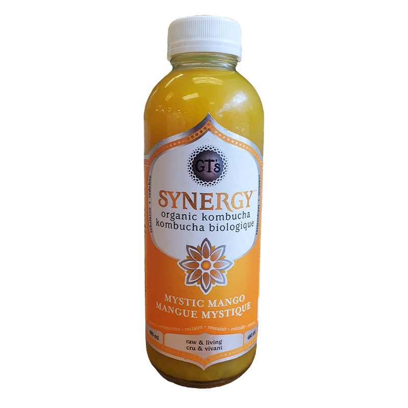 GTS SYNERGY ORGANIC KOMBUCHA 480ML MANGO — Epicure Market
